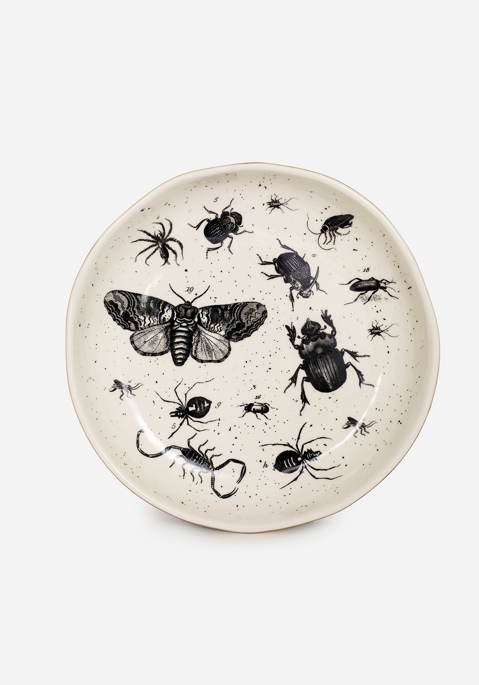 Disturbia | Parasite Bugs Print Plate | Tableware